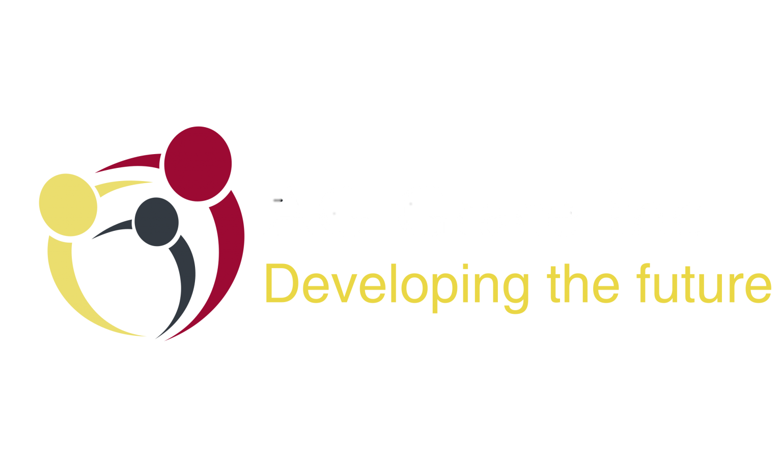 Certified CMMC Professional (CCP) Course Objectives